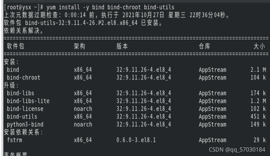 linux centos 8 DNS服务器配置_centos8 dns-CSDN博客