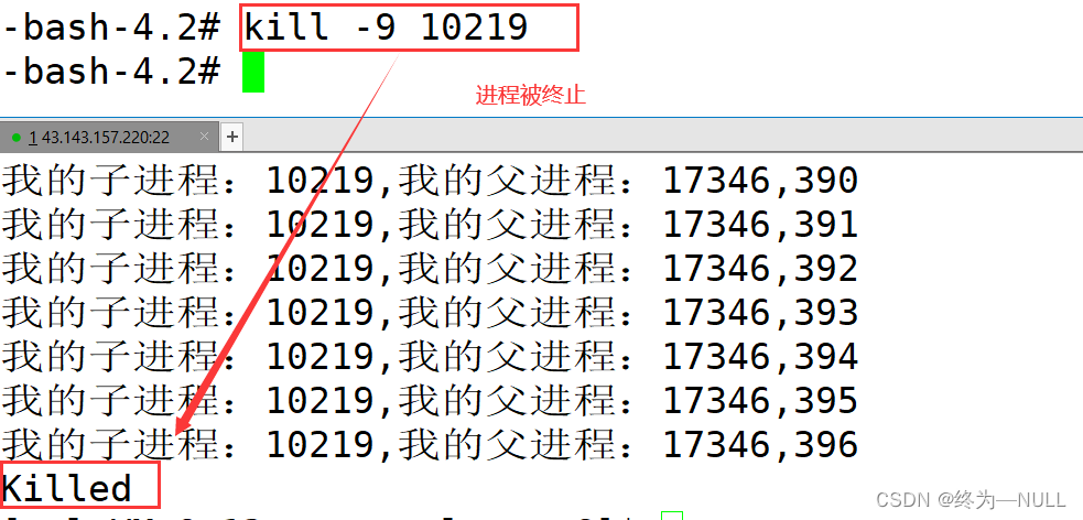 面试经常问的Linux进程到底是什么呢？1W字从0到1详解进程的所有细节！_面试需要了解linux进程吗-CSDN博客