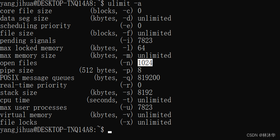 【APUE】标准I/O库_apue库-CSDN博客