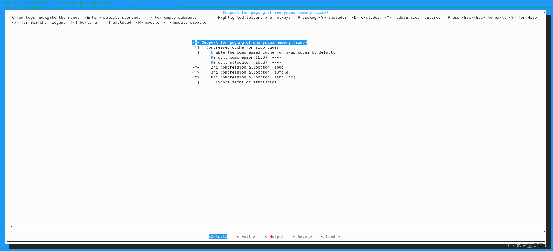 Linux内核中内存管理相关配置项的详细解析1_support for paging of anonymous memory-CSDN博客