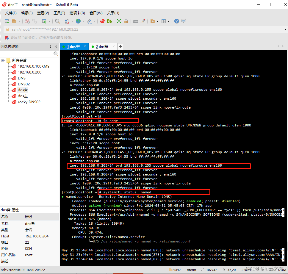 Rocky linux 搭建DNS主从服务器+keepalived实现高可用_keepalived dns-CSDN博客