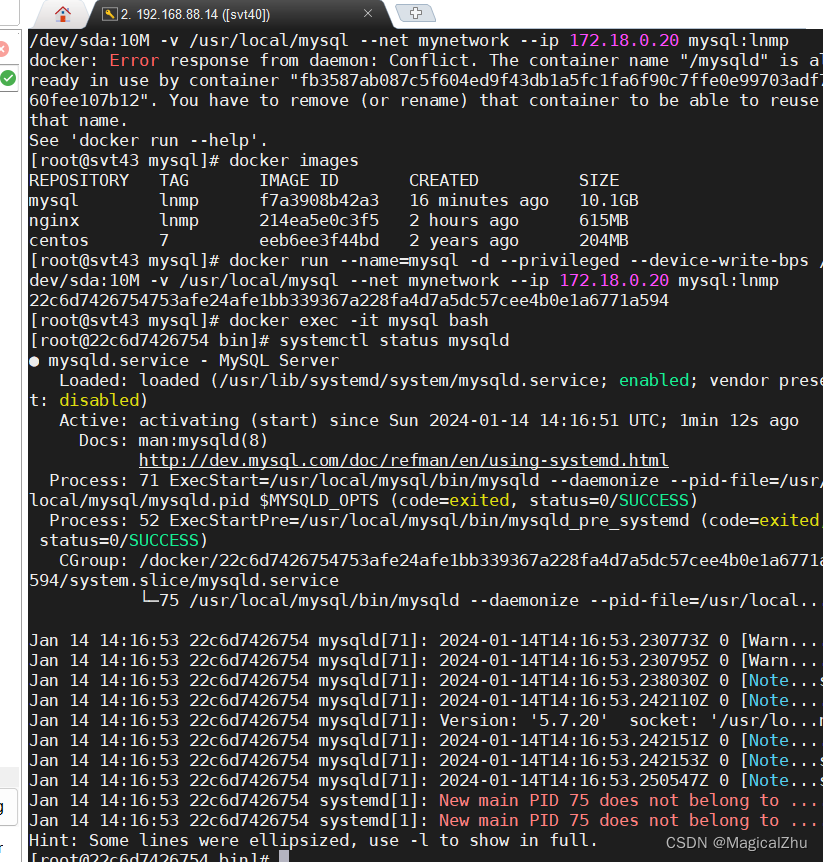 利用docker容器安装LNMP-CSDN博客