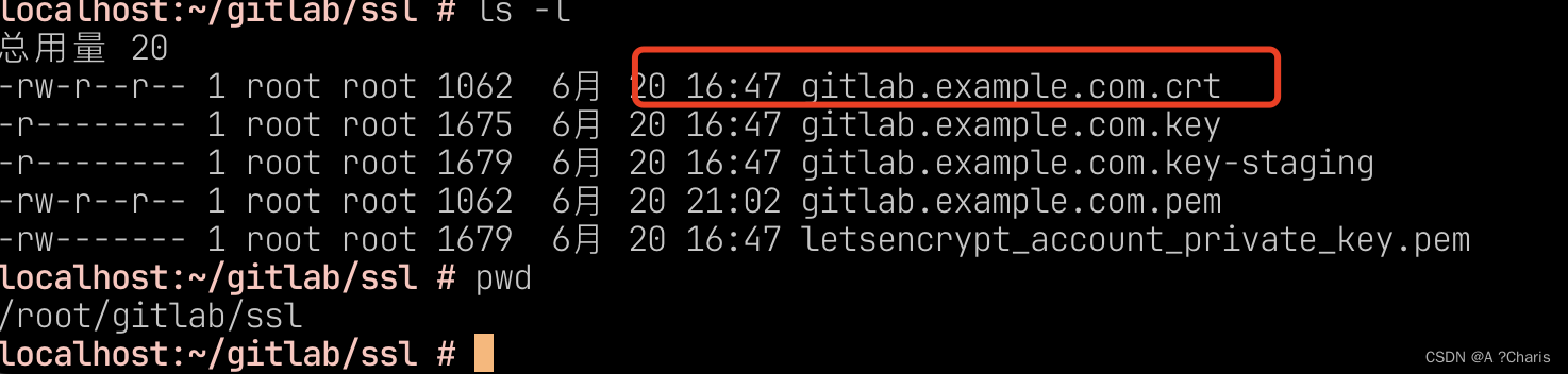 Gitops-万字保姆级教程-小白也可以轻松学会! (Part 1)-Gitlab与Gitlab-Ci-CSDN博客