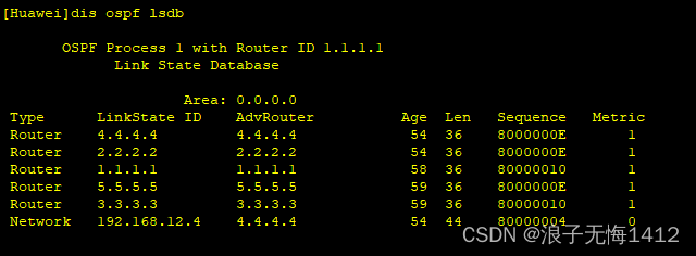 display查看命令_dis int link-info-CSDN博客