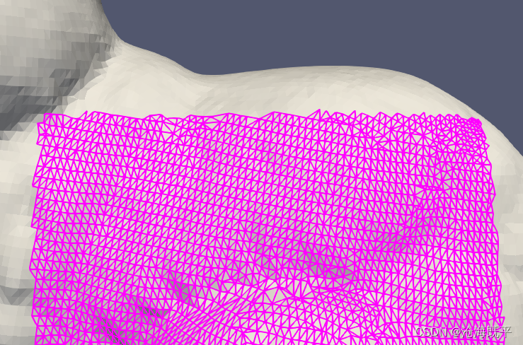 paraview选取部分表面网格并导出_paraview导出数据-CSDN博客
