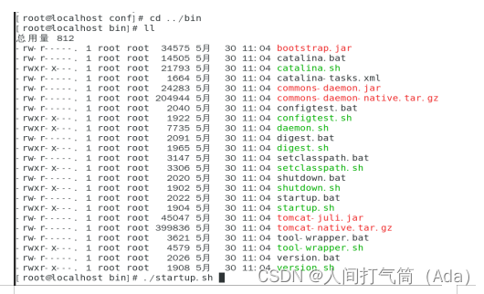 LNMT架构之LNMT与nginx动静分离_ngtlm-CSDN博客