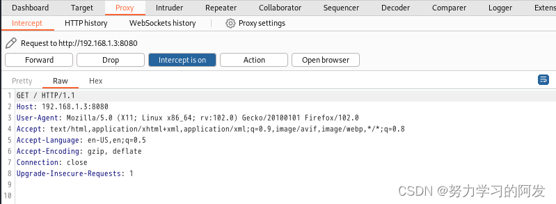 Nginx 配置错误导致漏洞（insecure-configuration）复现-CSDN博客