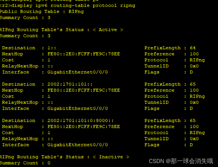 IPv4/6配置与路由：NAT、RIPng、OSPF与Tunnel部署详解-CSDN博客