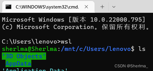 wsl 开启多个 shell 窗口_wsl 多窗口-CSDN博客