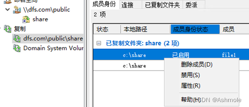 Fileserver DFS_windows dfs-CSDN博客