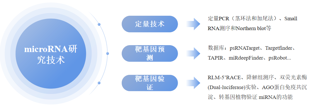 New Phytol | 植物miRNA-转录因子-靶基因模块调控网络如何构建_microrna–mrna调节网络-CSDN博客