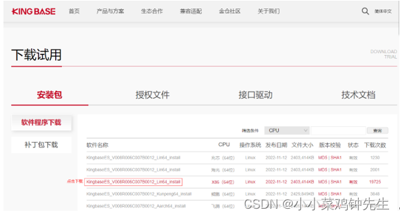 人大金仓数据库CentOS7安装简述_centos7安装金仓数据库-CSDN博客