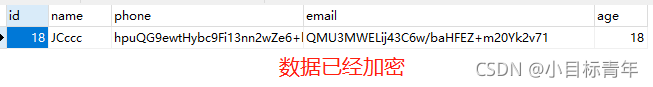 Springboot Aop实现指定敏感字段数据加密 （数据加密篇 二）stringencryptor Csdn博客