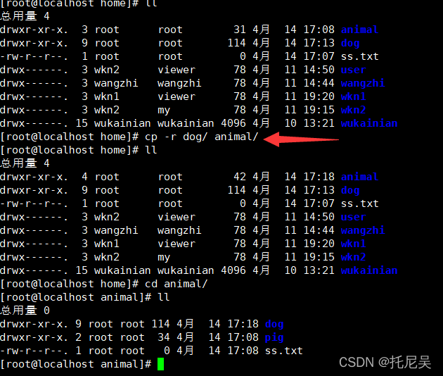 linux系列7-常用命令_linux7命令大全-CSDN博客