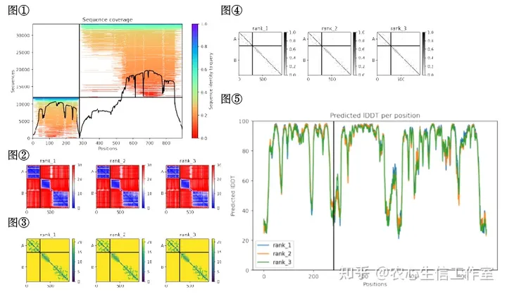 超实用！用ChimeraX对AlphaFold 结果可视化（上）_alphafold3结果可视化-CSDN博客