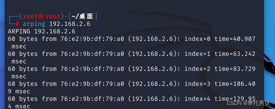 kali --之 arping工具的使用_发arp包工具-CSDN博客