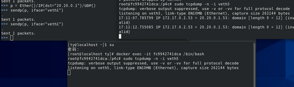 【P4lang】P4环境配置及编译-CSDN博客