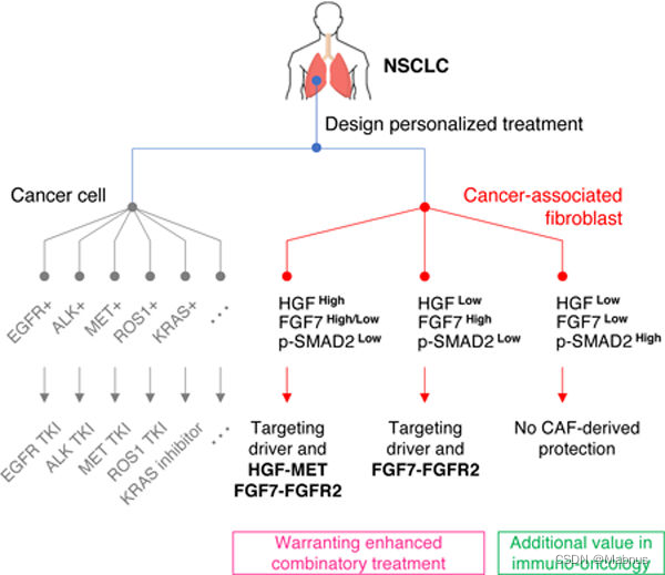 FGF7：药物耐受调控_fgf-7细胞受体-CSDN博客