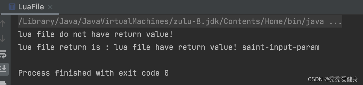 Java生态/Redis中如何使用Lua脚本_java redis lua脚本-CSDN博客