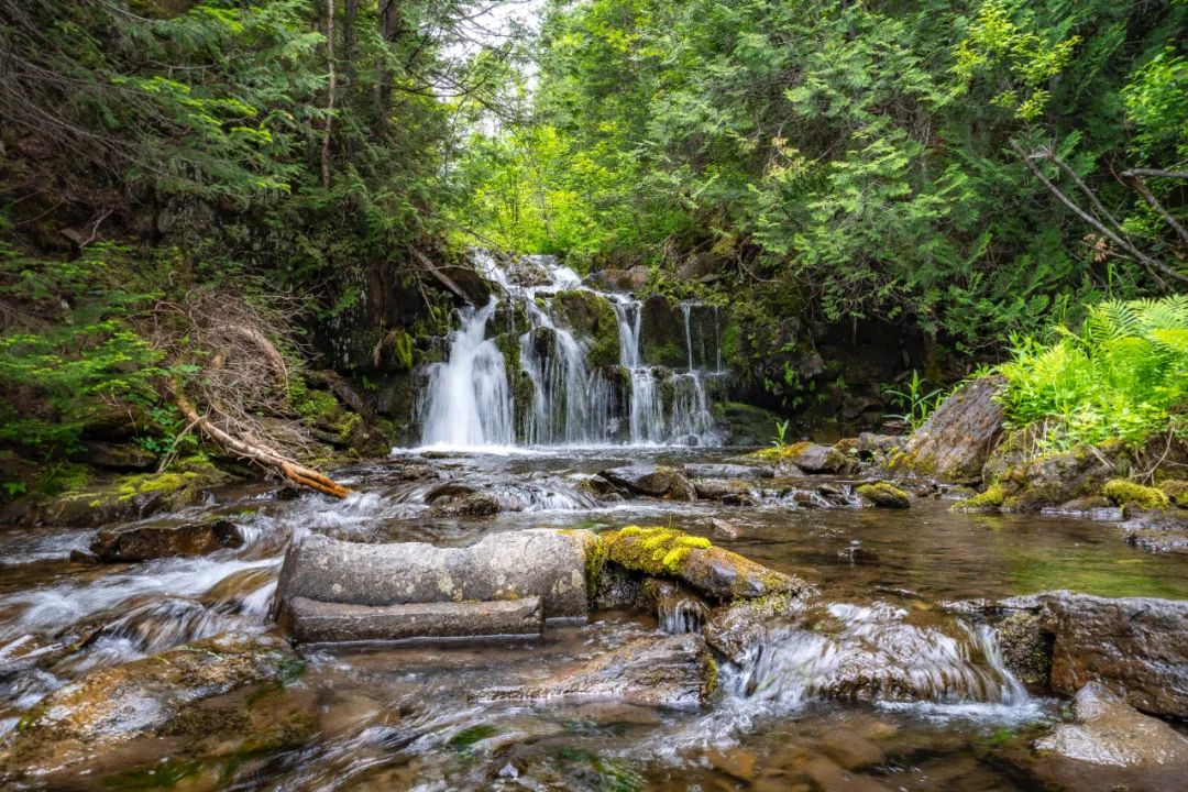 Springboot框架中使用 Redis + Lua 脚本进行限流功能_redis lua限流 ratelimiter-CSDN博客