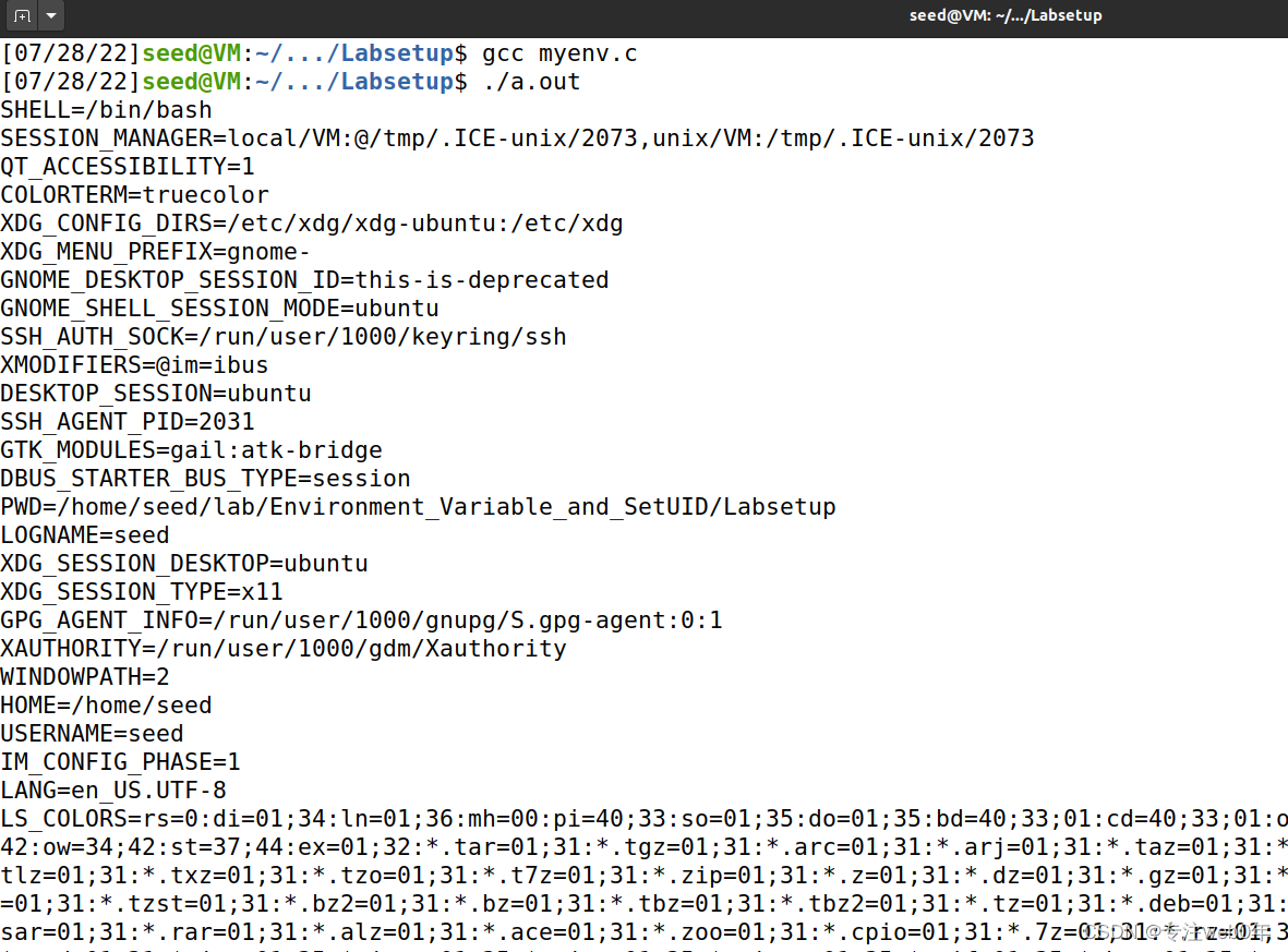 Environment_Variable_and_SetUID_seed 的root密码-CSDN博客
