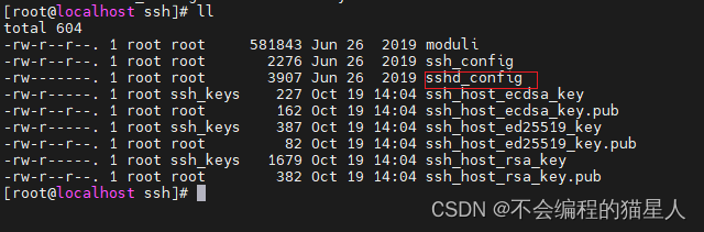 SSH服务详解：基础配置、命令与免密登录-CSDN博客
