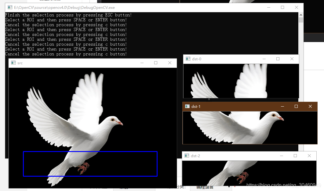 OpenCV ROI选择与图像裁剪-CSDN博客
