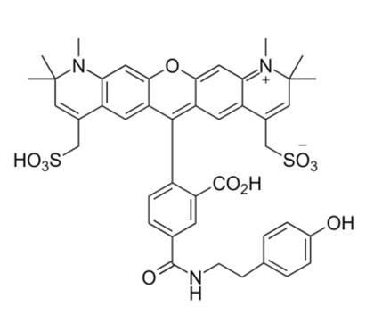 AF594Tyramide，AF 594 TSA，AF594 酪胺，AF594荧光探针-CSDN博客