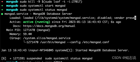 mongo: ubuntu系统安装mongo报错 code=exited, status=48_mongod.service: control process exited, code ...