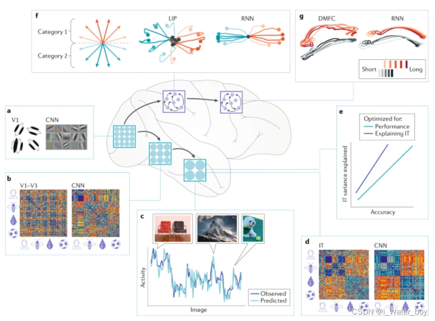 23-10-11月深度学习论文阅读总结与启发_neural circuit policies enabling auditable autonom-CSDN博客