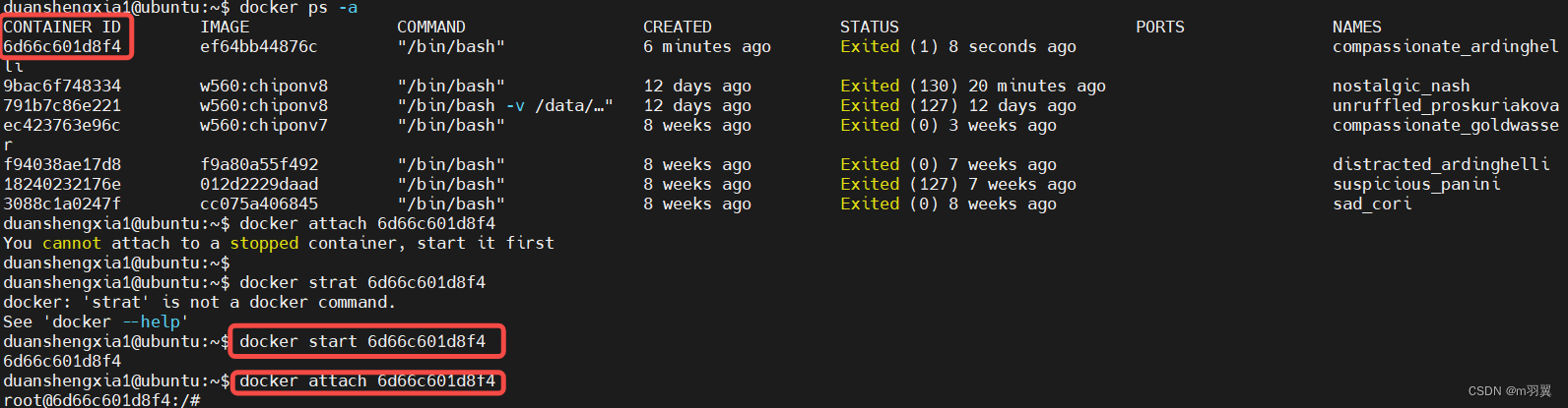 docker常用命令|启动docker|运行docker|退出docker_docker运行-CSDN博客