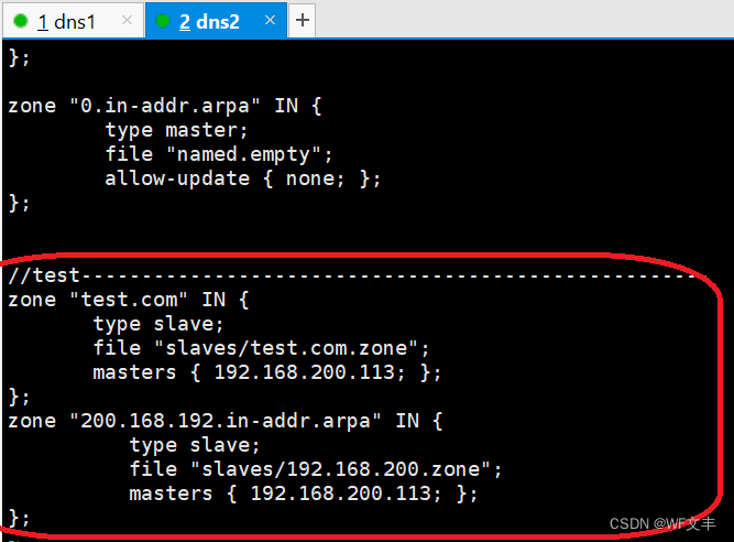 Linux(openEuler、CentOS8)企业内网主备DNS服务器搭建_openeuler dns-CSDN博客
