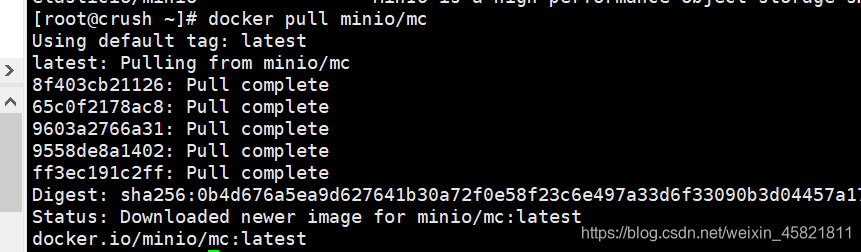 不仅有史上最详细Docker 安装Minio Client，还附带解决如何设置永久访问和永久下载链接！！（详图）绝对值得收藏的哈！！！！_minio client docker-CSDN博客