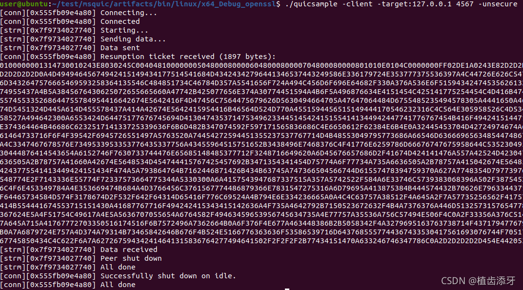 基于linux的MsQUIC编译及样例运行-CSDN博客