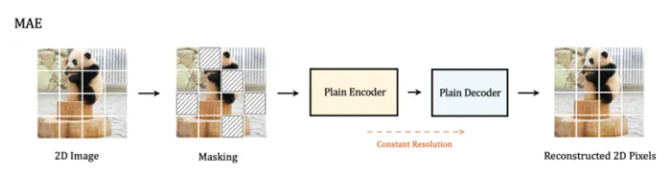 经典文献阅读之--VoxFormer(基于Transformer的3D语义场景补全)-CSDN博客