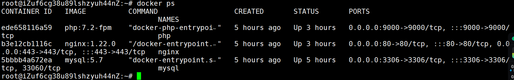 Docker搭建LNMP环境及苹果cms部署实践-CSDN博客