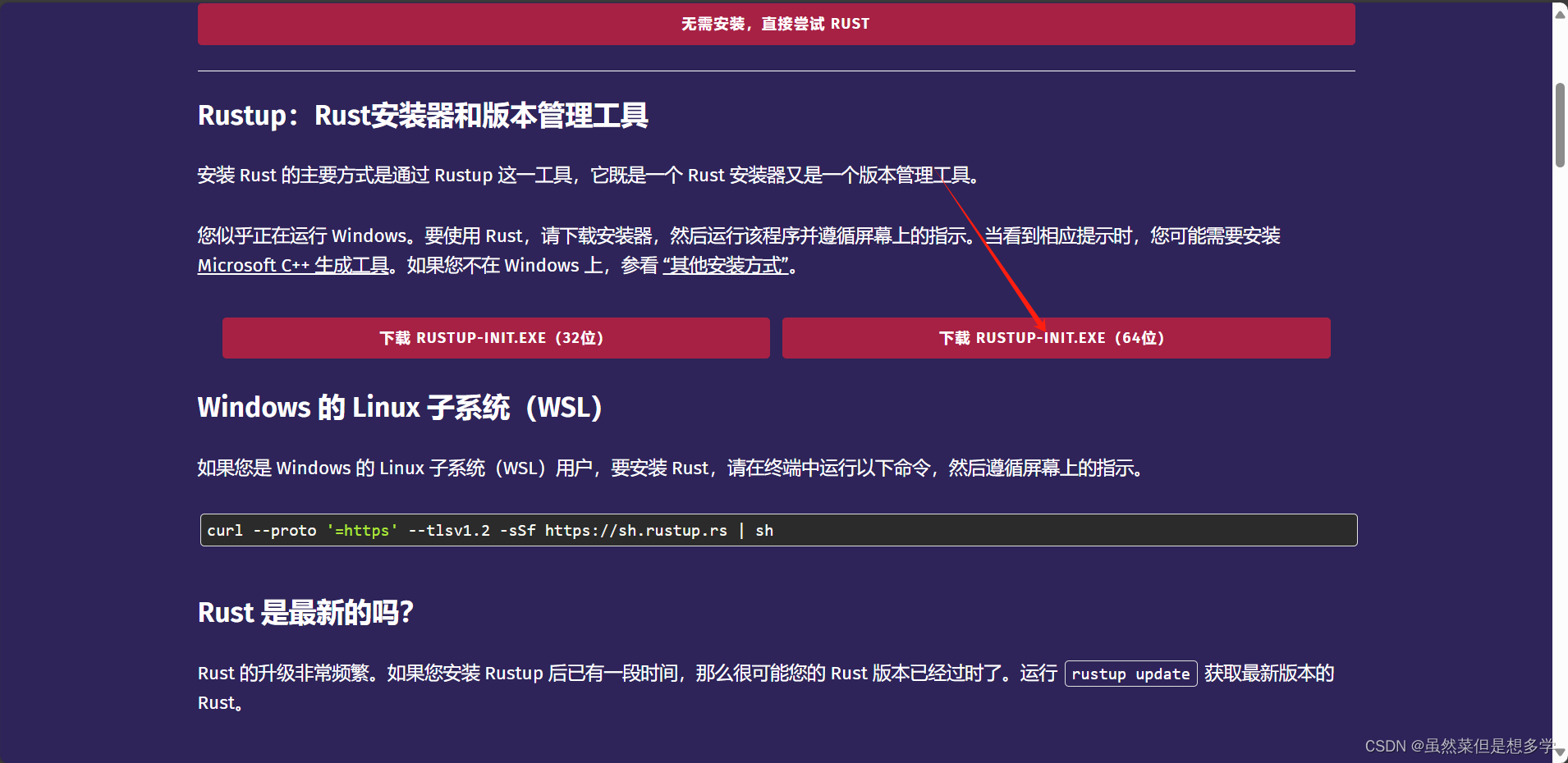 Rust安装（win版本）_windows rust安装-CSDN博客