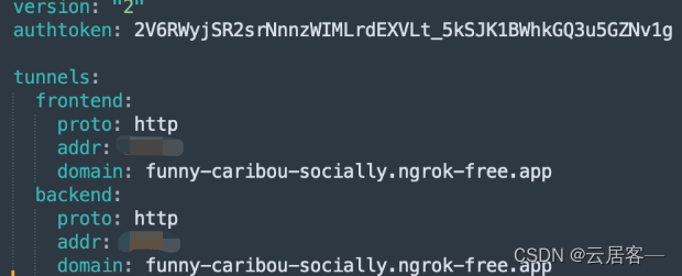 Ngrok：实现内网穿透与固定域名配置指南-CSDN博客