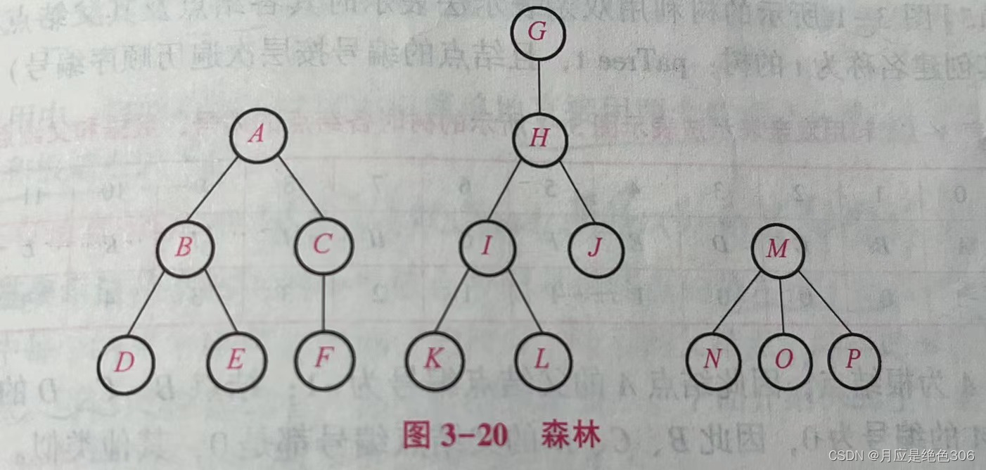 数据结构：树与森林的表示及遍历方法-CSDN博客