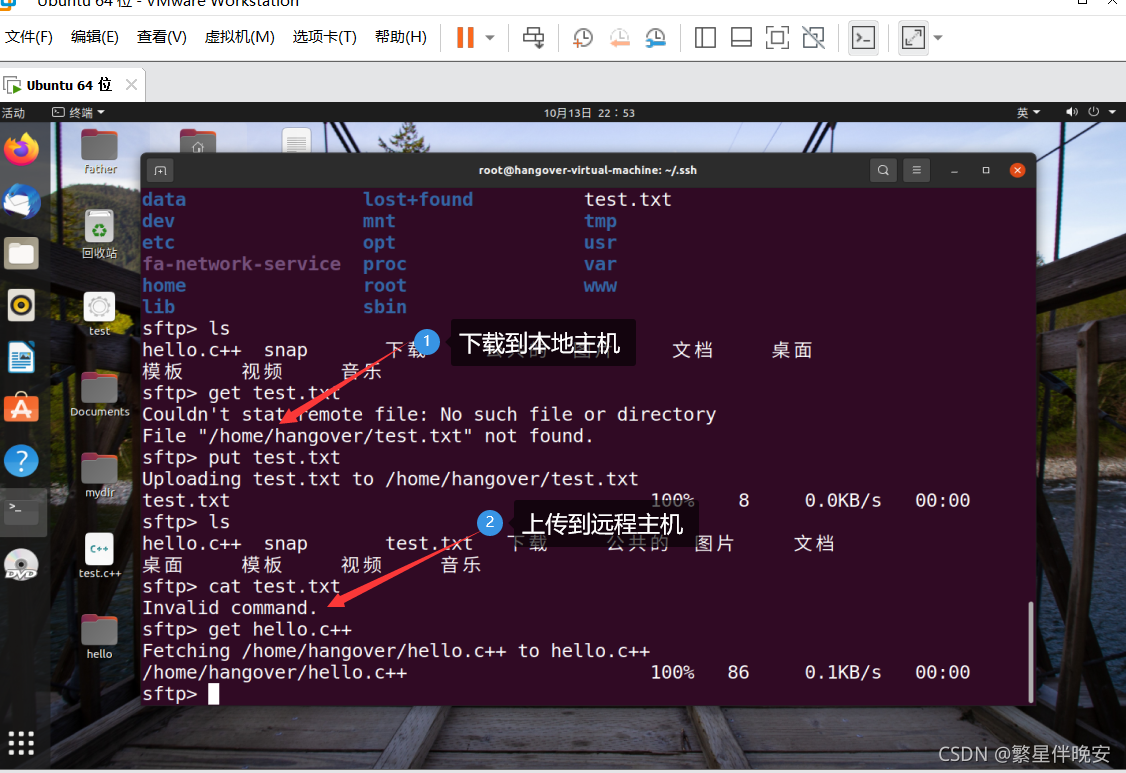 【嵌入式系统】实验一、熟悉 Linux 开发环境_arm32交叉编译环境-CSDN博客