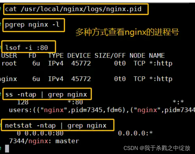 Nginx配置与优化-CSDN博客