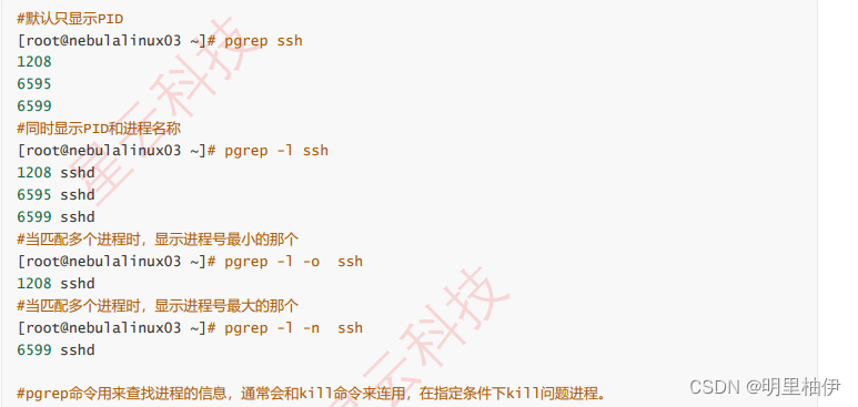 【Linux】进程管理命令（ps， lsof ，kill pkill killall，vmstat）_linux进程管理命令-CSDN博客