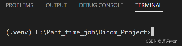 使用python打开DICOM文件_python加载dicom文件-CSDN博客