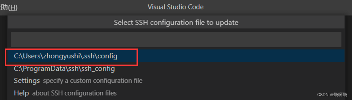 使用vscode连接ssl_vscode ssl-CSDN博客