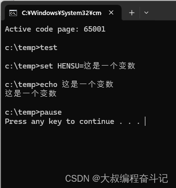 CMD命令窗口提示文字乱码_cmd echo 乱码-CSDN博客