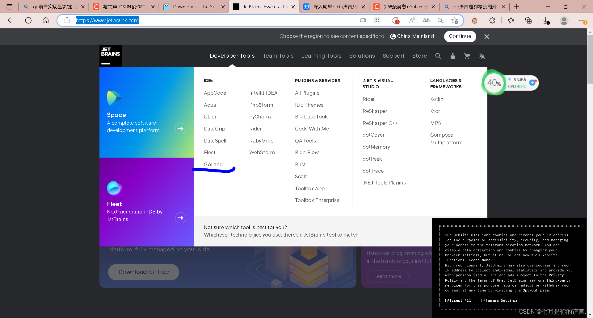 Windows下JetBrains GoLand环境配置记录-CSDN博客