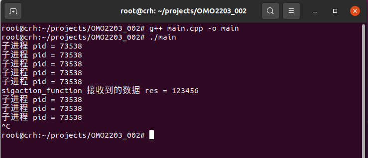 Linux内核编程 信号signal、sigaction使用案例-CSDN博客