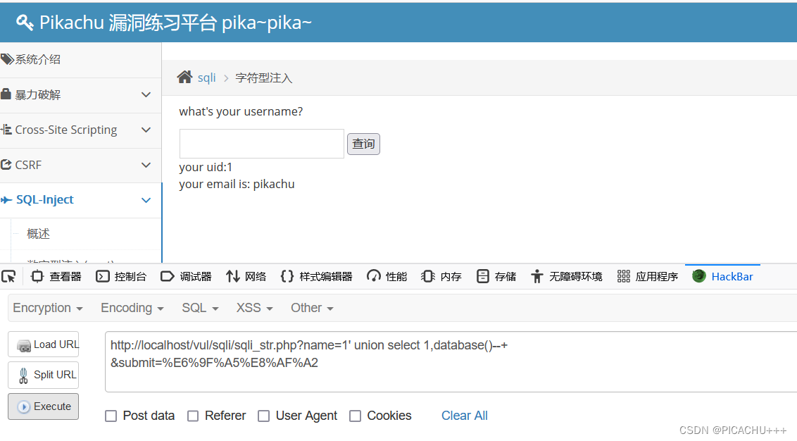 PIKACHU靶场 ——字符和数字型SQL注入练习-CSDN博客