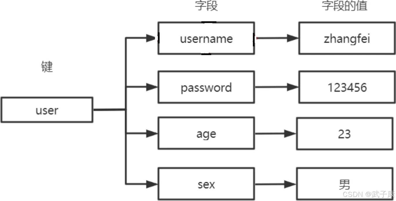 大数据 40 Redis 类型集合 String List Set Sorted Hash 指令列表 执行结果 附截图 Csdn博客
